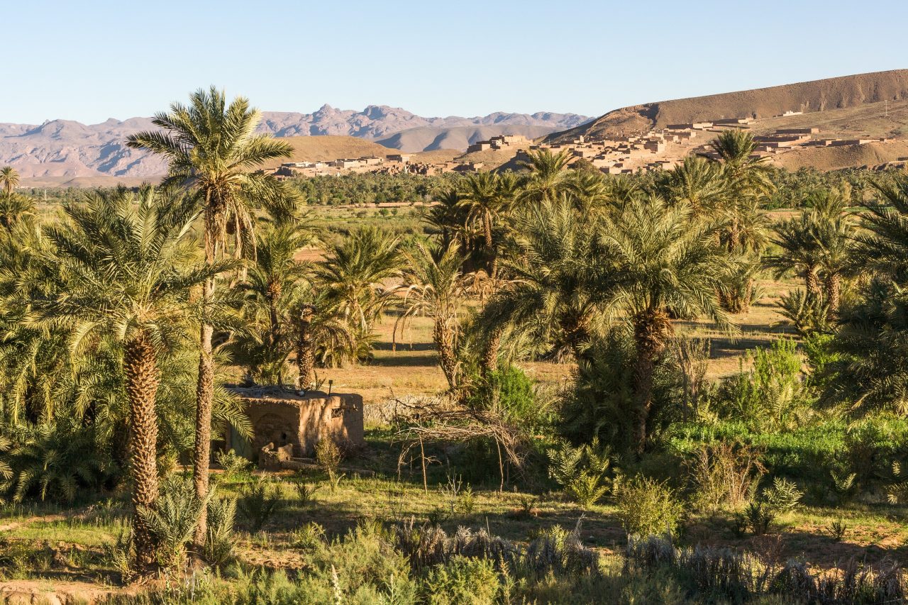 Day Trip To Draa Valley And Agdz From Ouarzazate | Desert Tours Company